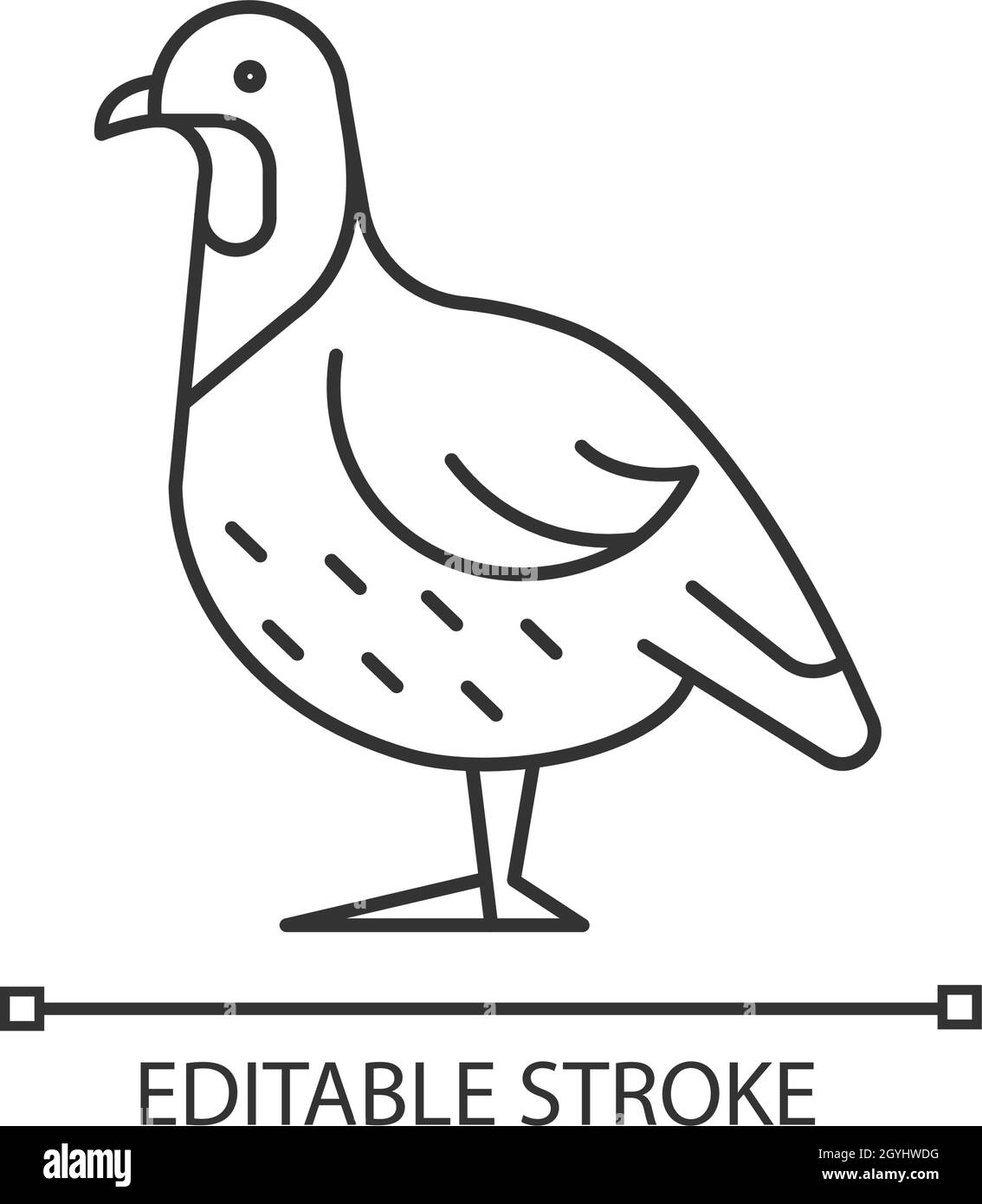 Partridge linear icon Stock Vector Image & Art - Alamy
