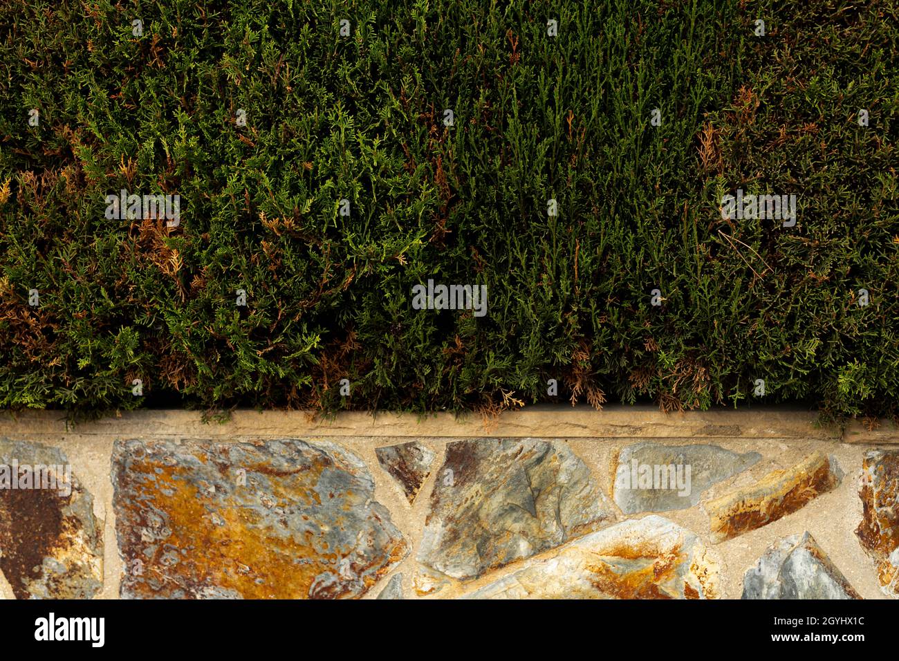 Panel cypress hi-res stock photography and images - Alamy