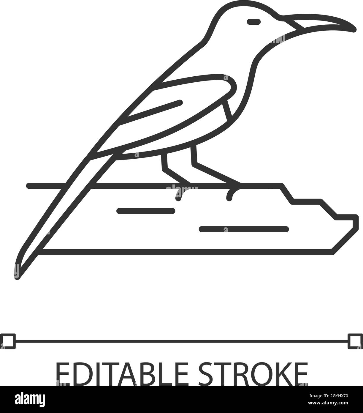 Asian sunbird species Stock Vector Images - Alamy