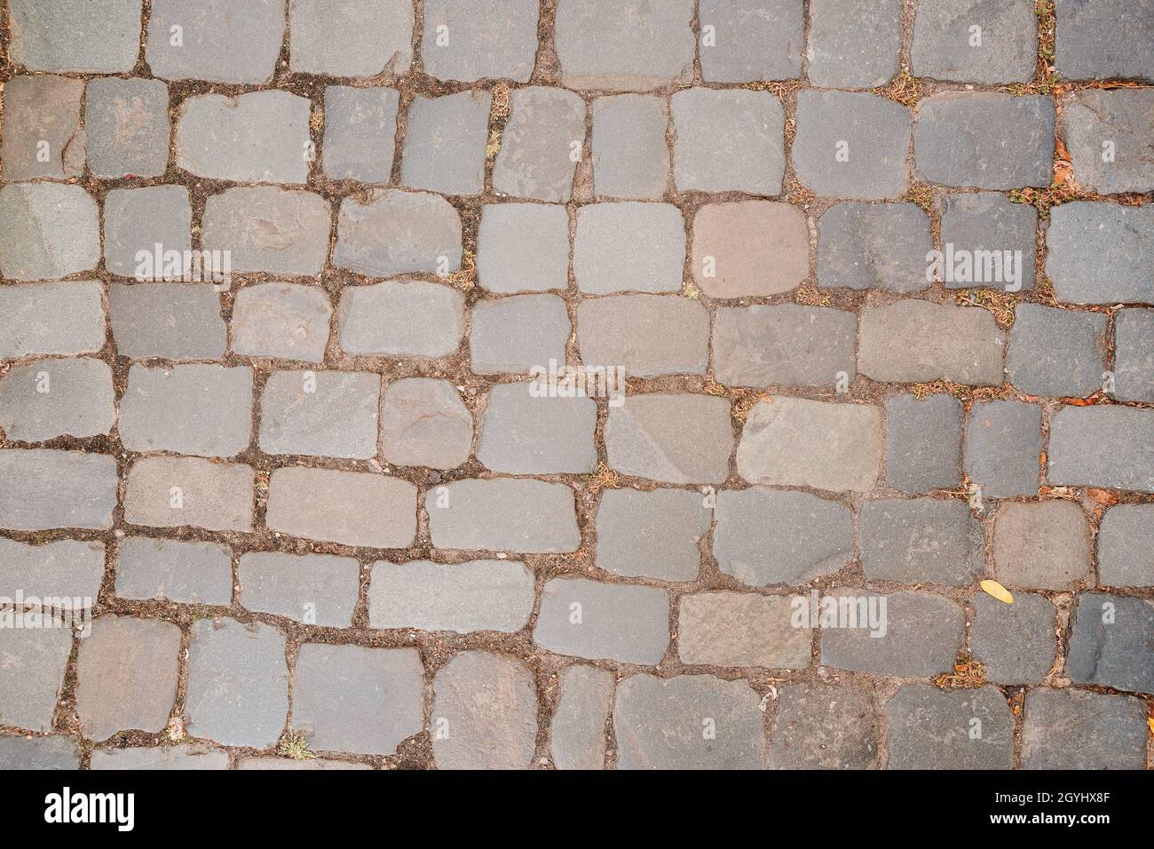 Small smooth old european Cobble stone pavement background Stock Photo ...