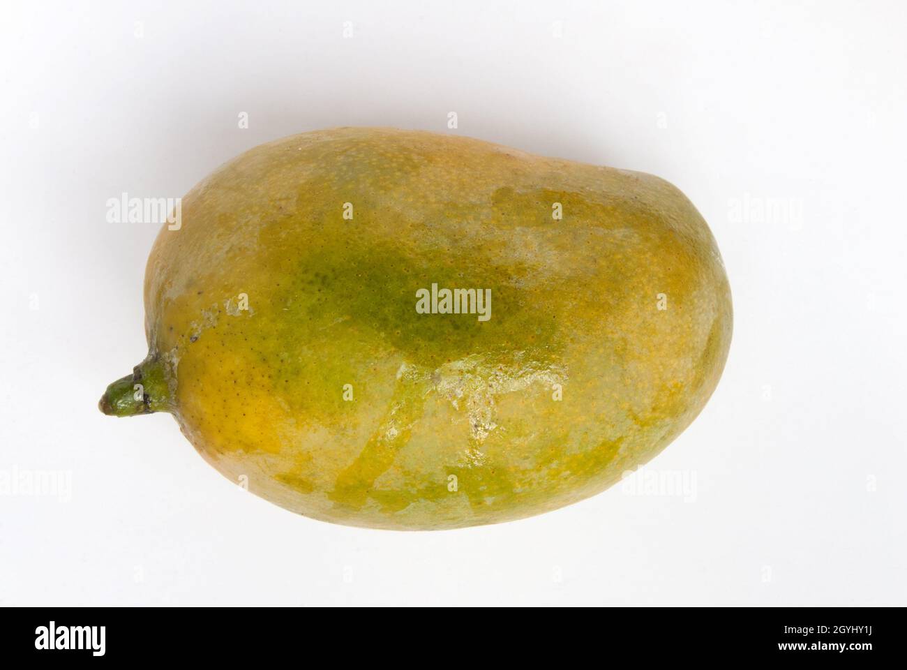 Mango group Mangifera indica L. of fresh and organic pashte of ...