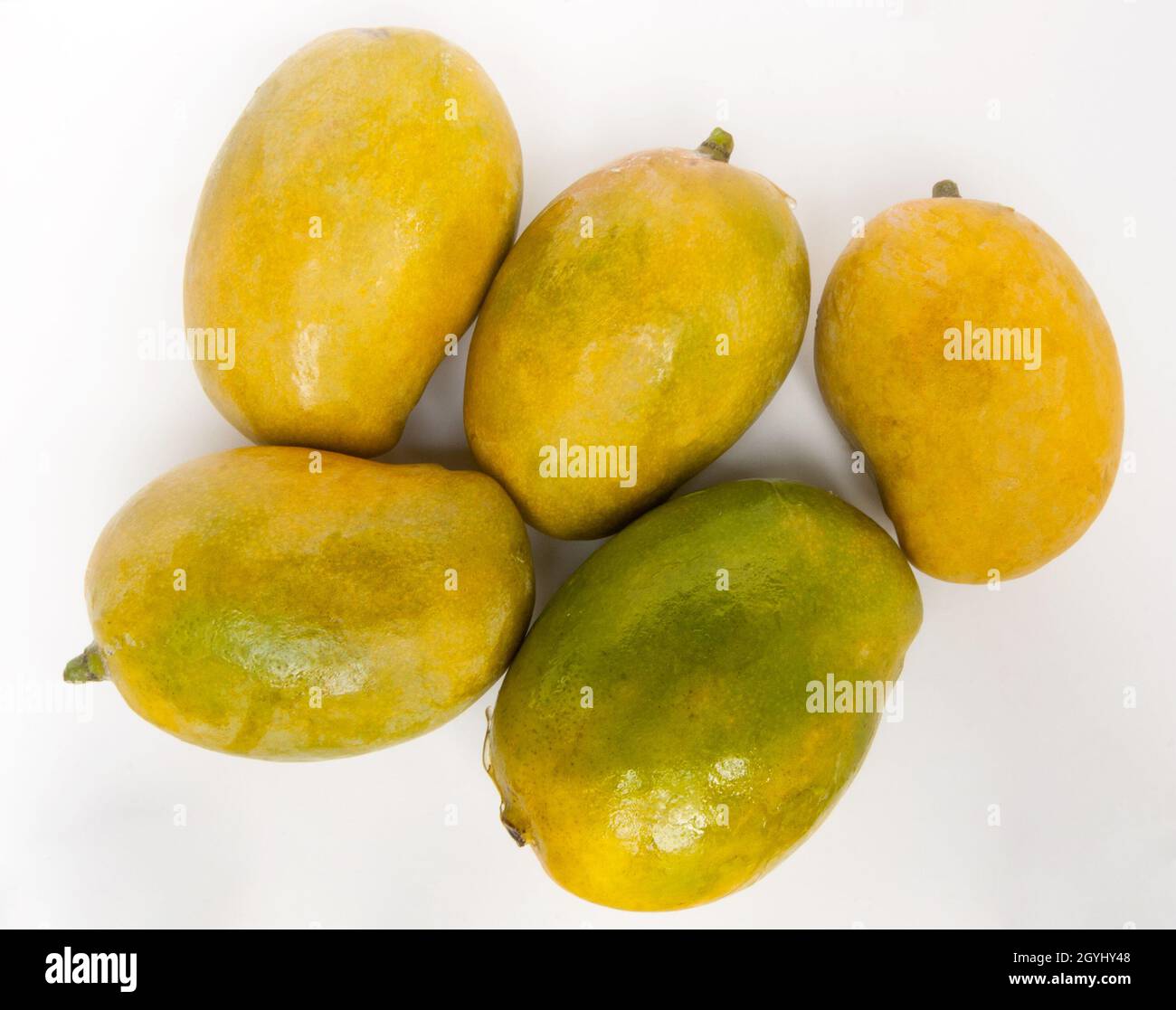 Mango group Mangifera indica L. of fresh and organic pashte of ...