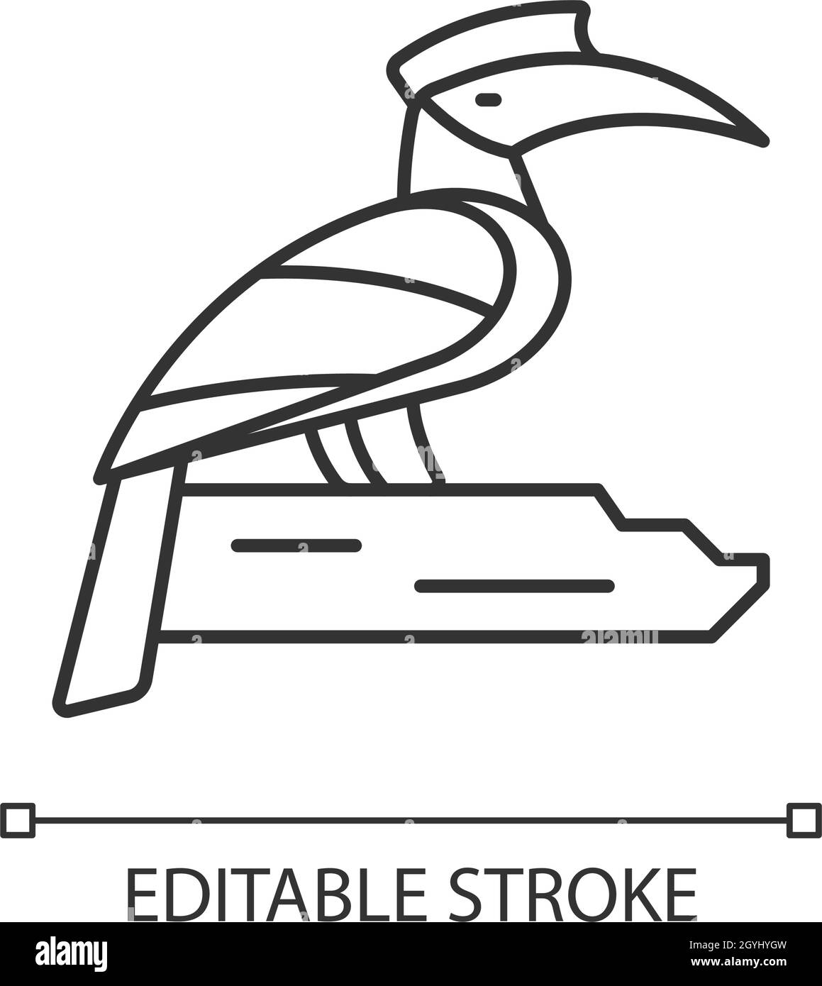 Hornbill drawing Black and White Stock Photos & Images - Alamy