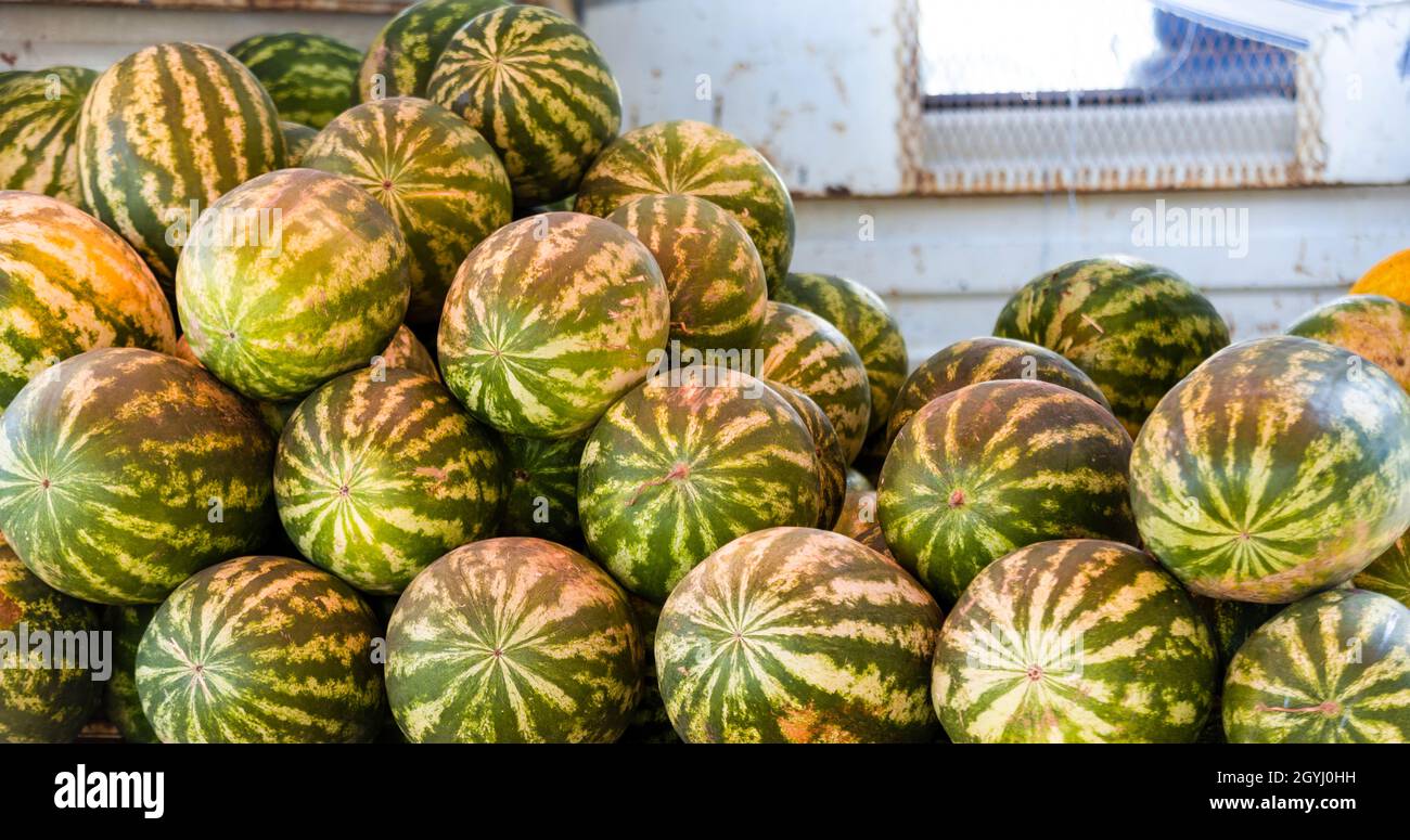 Many big sweet green watermelons .Close up Stock Photo - Alamy