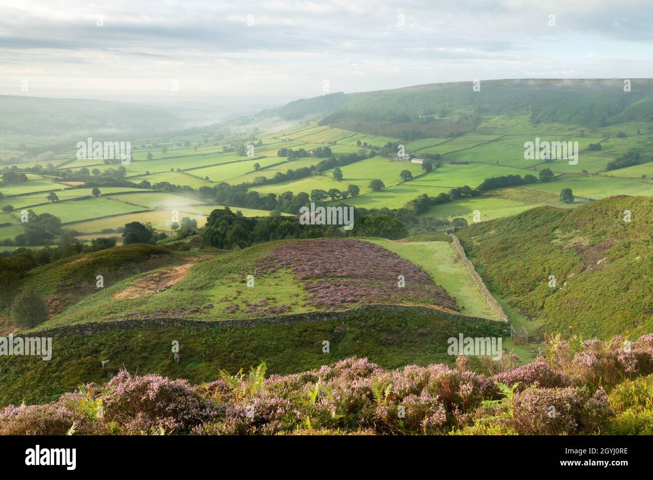 Farndale view hi-res stock photography and images - Alamy