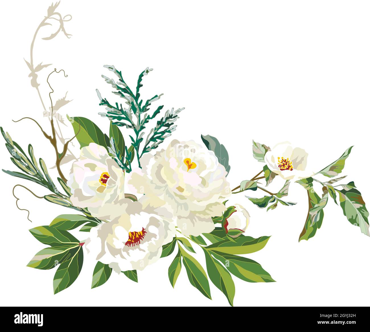 Bouquet of blooming white peonies. Decorative element for creating a ...