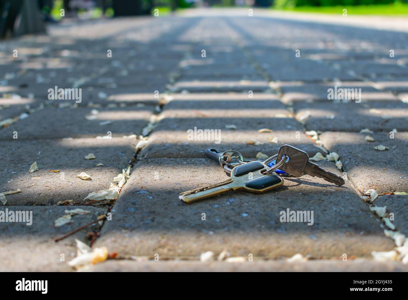 Lying on the sidewalk a bunch of old lost house door keys Stock Photo ...