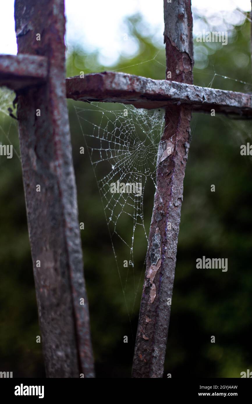 Spider Web on a fence Stock Photo - Alamy