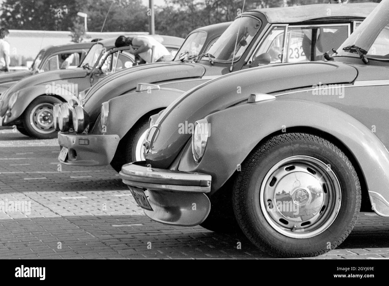 Beetle volkswagen line hi-res stock photography and images - Alamy