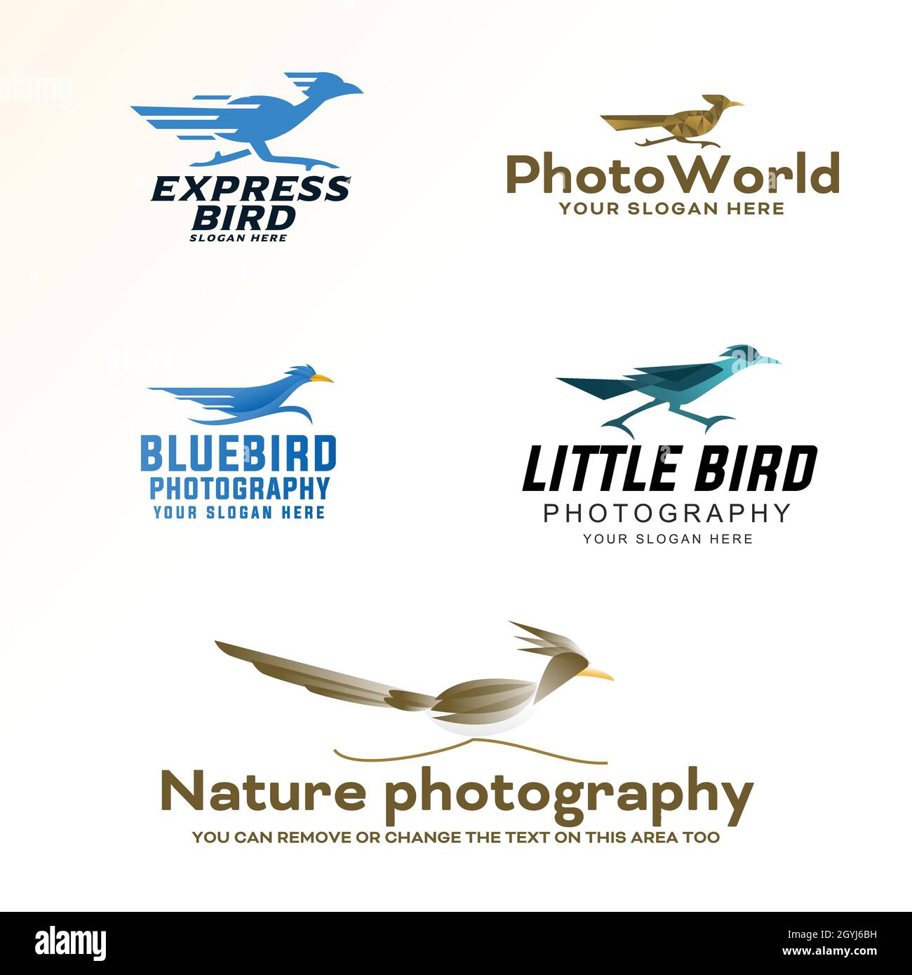 Wing bird speed fast hi-res stock photography and images - Alamy