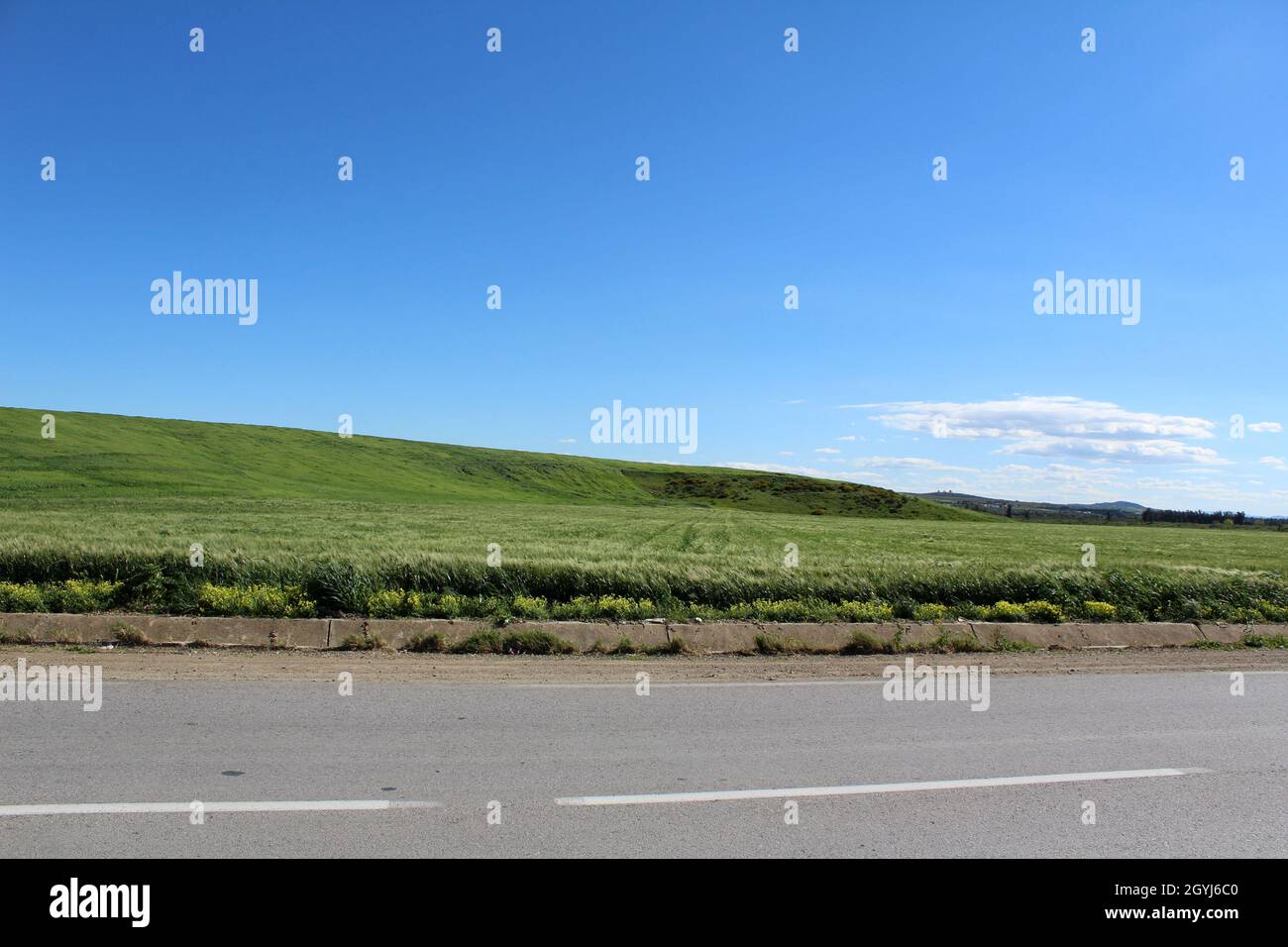 When the land meets the sky, green land open to blue skies Stock Photo ...