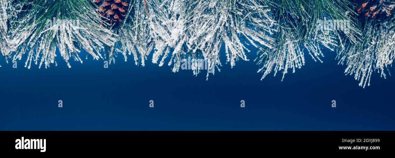 Frame branches christmas tree hi-res stock photography and images - Alamy