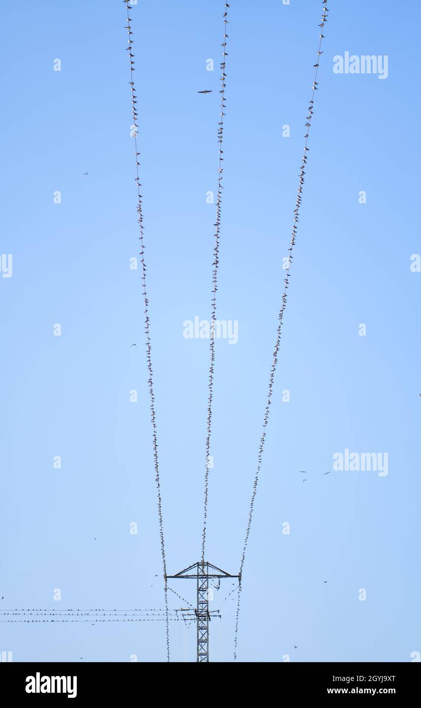 Vertical shot overhead power hi-res stock photography and images - Alamy
