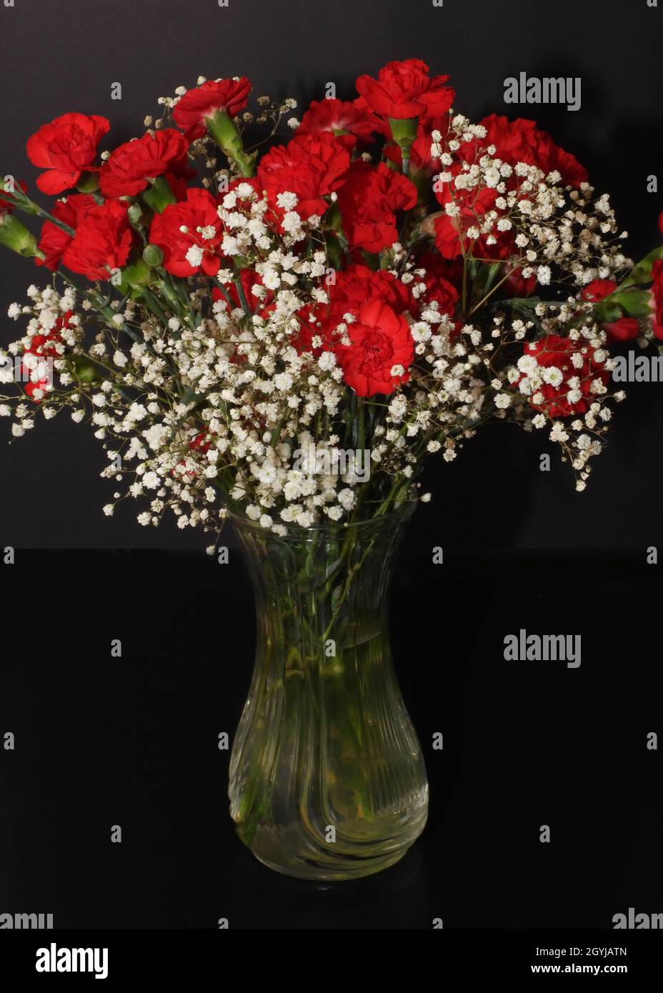 A close up of a bouquet of red carnations and white baby's breath in a ...