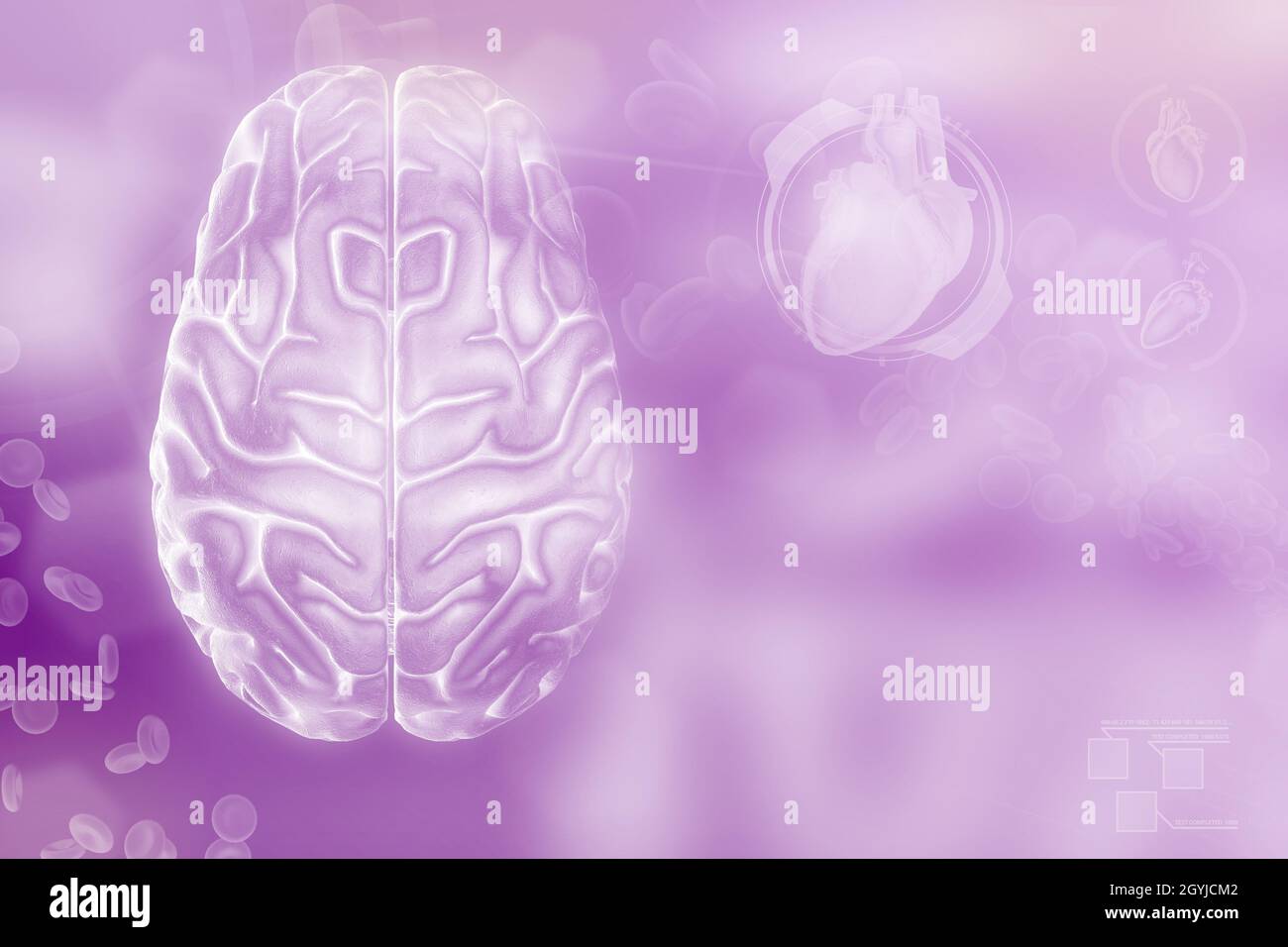 Medical 3D illustration - human brain, neurology research concept ...