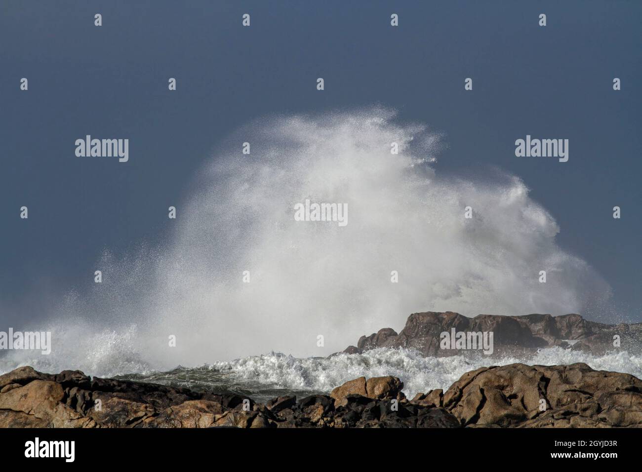 Detailed big stormy sea wave splash Stock Photo - Alamy