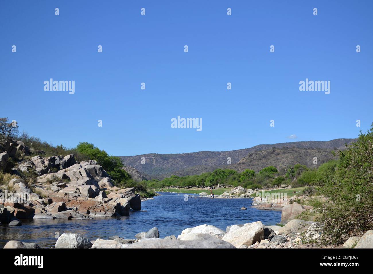 Horizontal shot of vegetated area on the waterfront under the blue sky ...