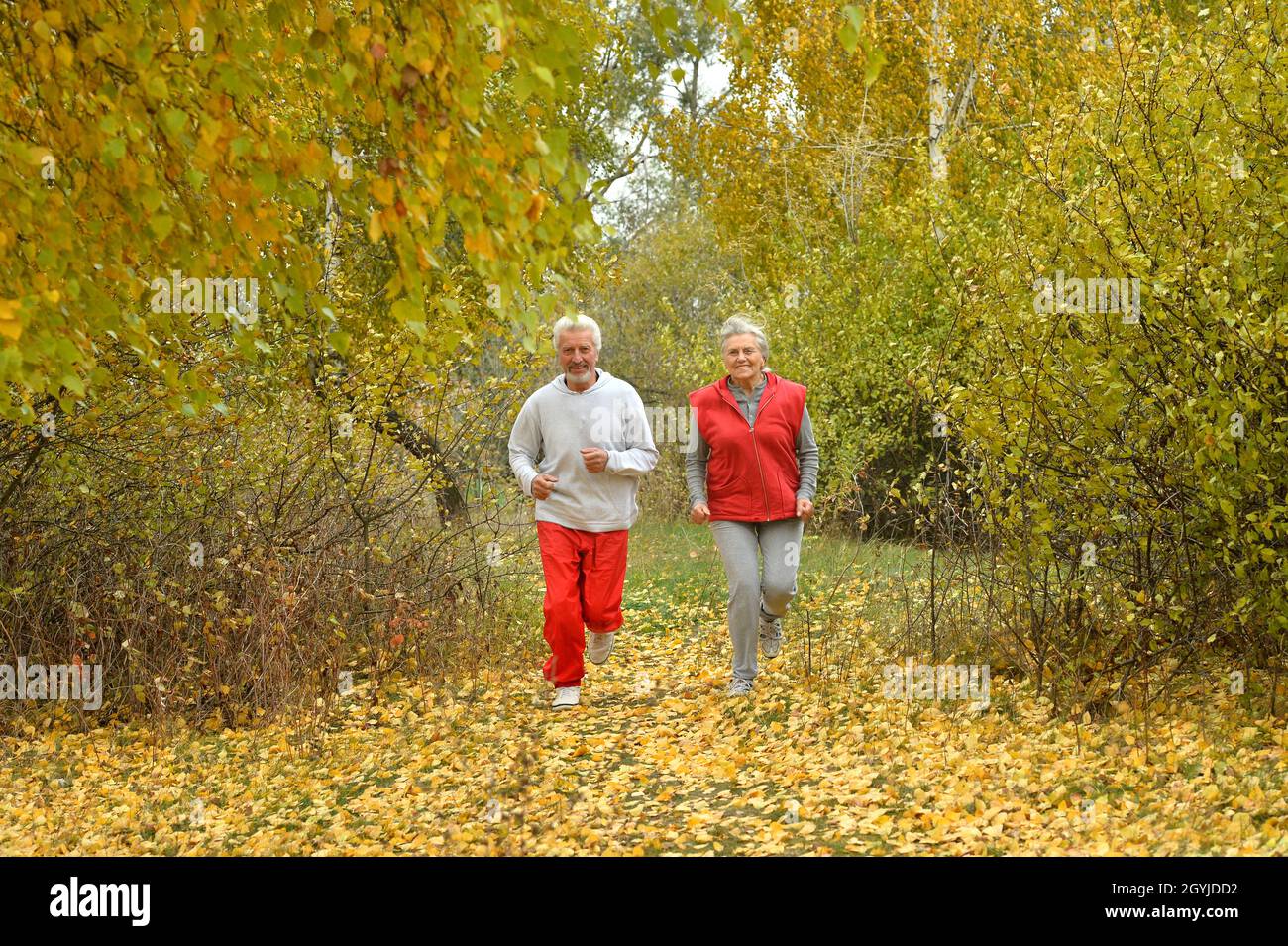fit senior couple running in park Stock Photo - Alamy