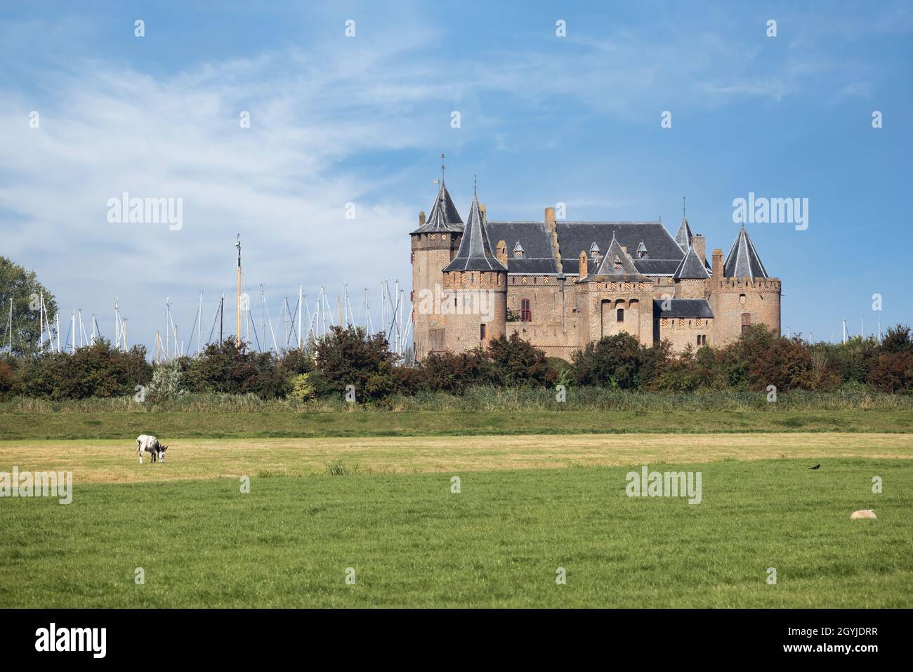 View at Muiderslot, historic and famous medieval Dutch Castle Stock ...