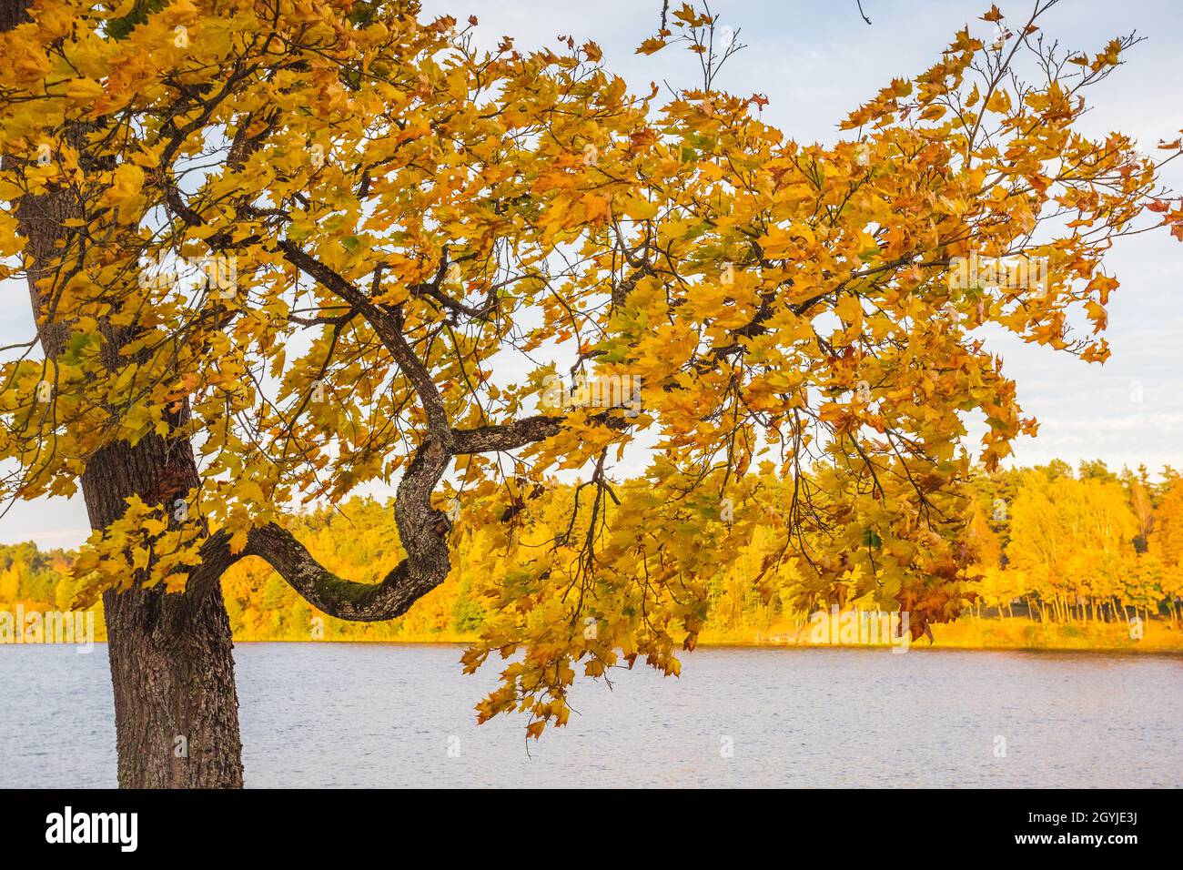 Lithuanian landscape hi-res stock photography and images - Alamy