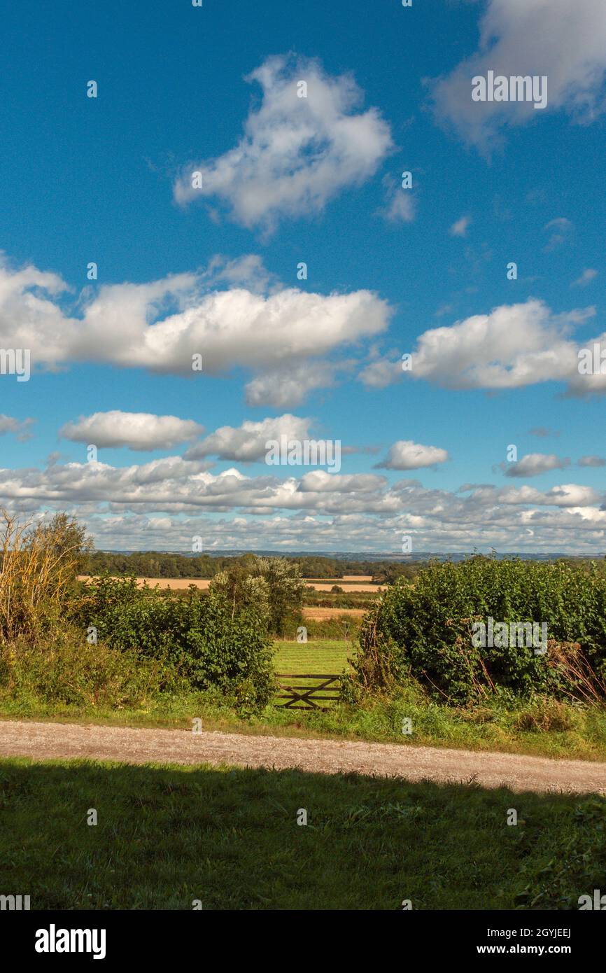 Kentish Countryside,Sunshine,Blue Sky,White Clouds,Country Lane,Kent ...