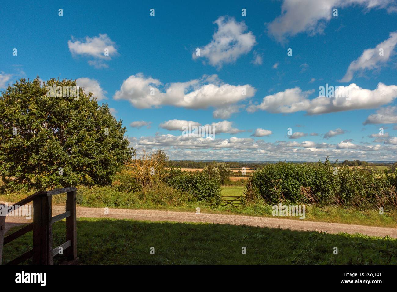 Kentish Countryside,Sunshine,Blue Sky,White Clouds,Country Lane,Kent ...