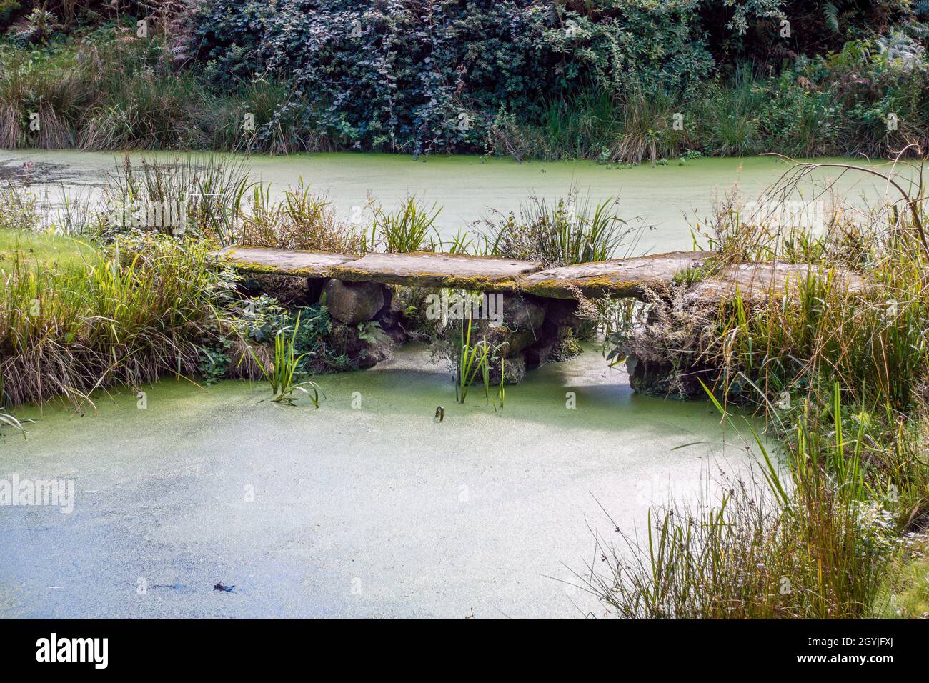 Clapper Bridge,Stone Bridge,Ancient Bridge. Representation of an ...
