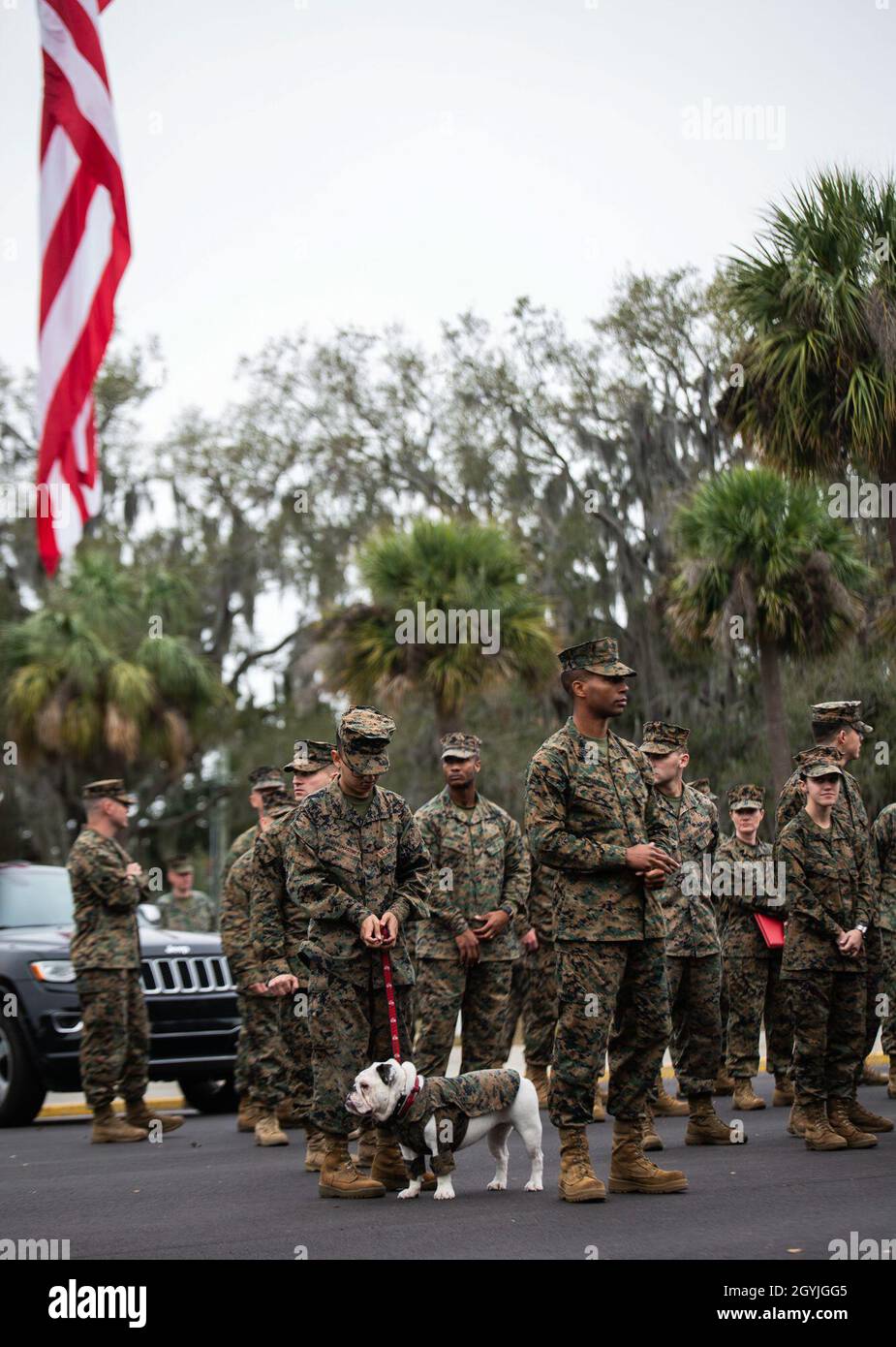 Major general james glynn hi-res stock photography and images - Alamy