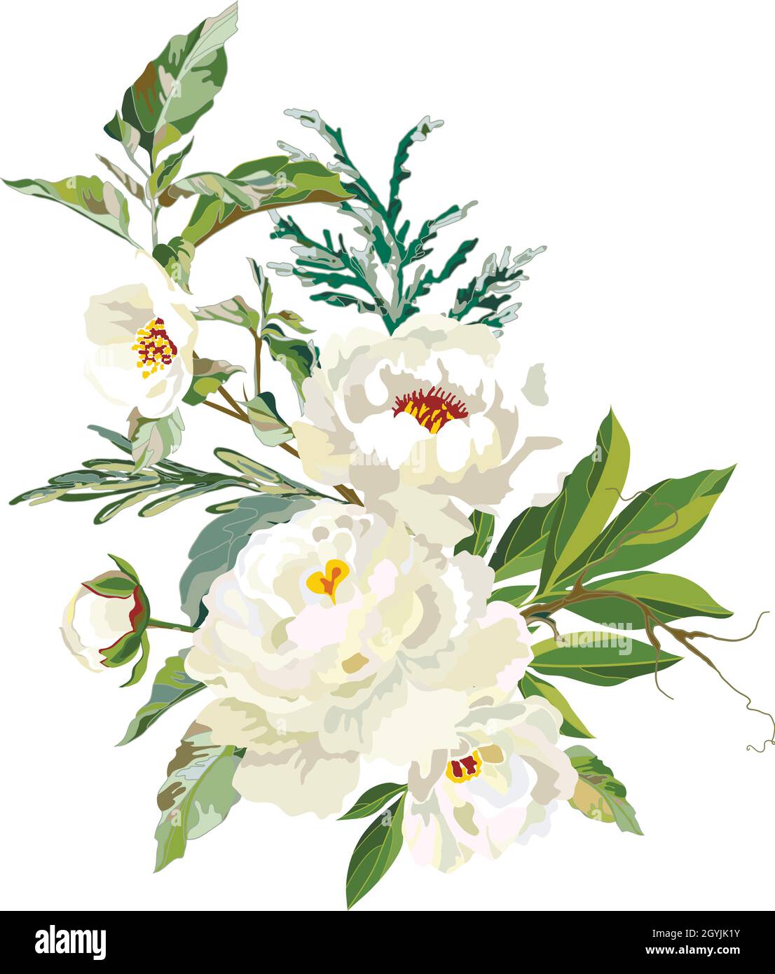 Bouquet of blooming white peonies. Decorative element for creating a ...