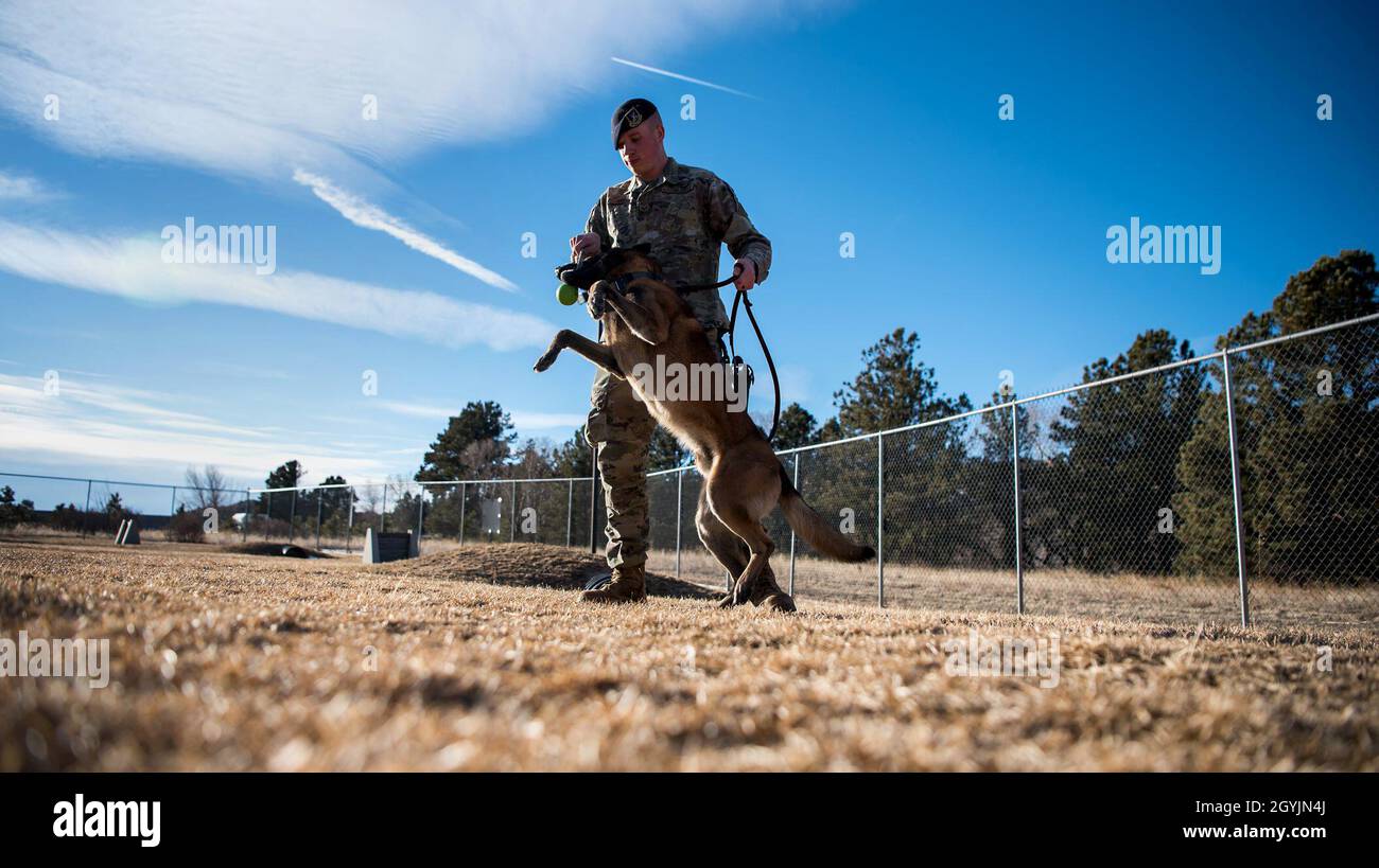 U.S. AIR FORCE ACADEMY, Colo. – Military Working Dog Nick plays with a ...