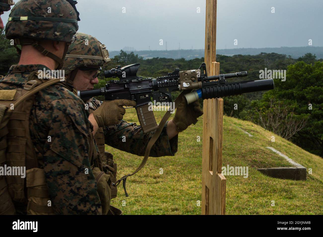 A Marine with Battalion Landing Team, 1st Battalion, 5th Marines, 31st ...
