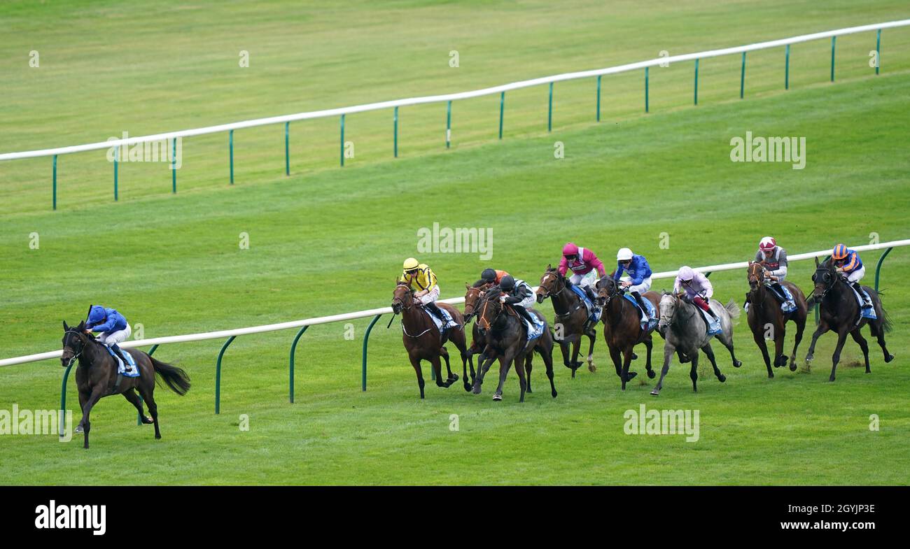Al suhail horse hi-res stock photography and images - Alamy