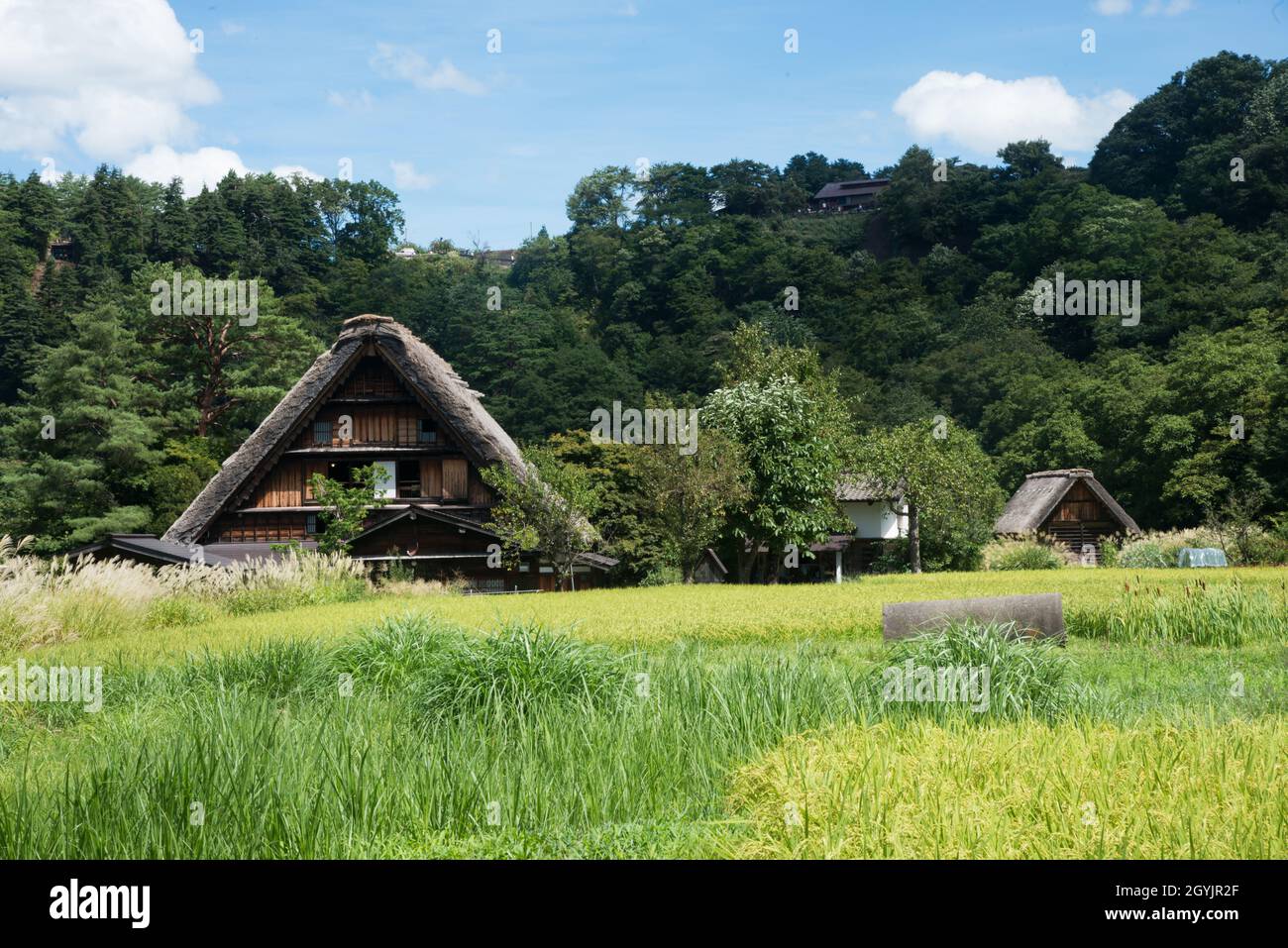 View of a rural area in Japan. Traditional wooden house at Shirakawa go ...