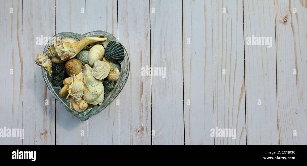 A collection of sea shells, stones and rocks from different places but ...