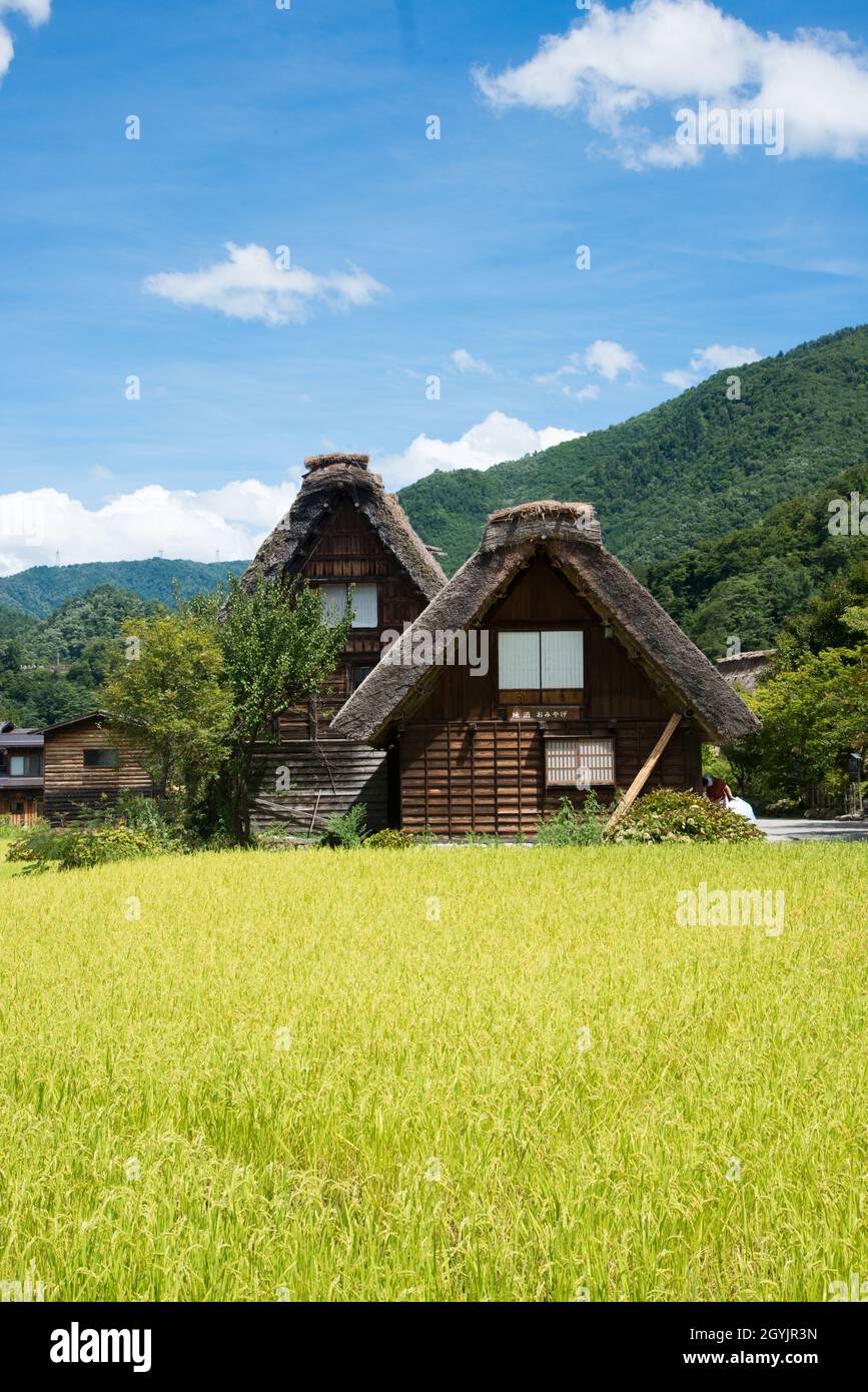 Rural area in Japan with traditional wooden houses and rice fields ...