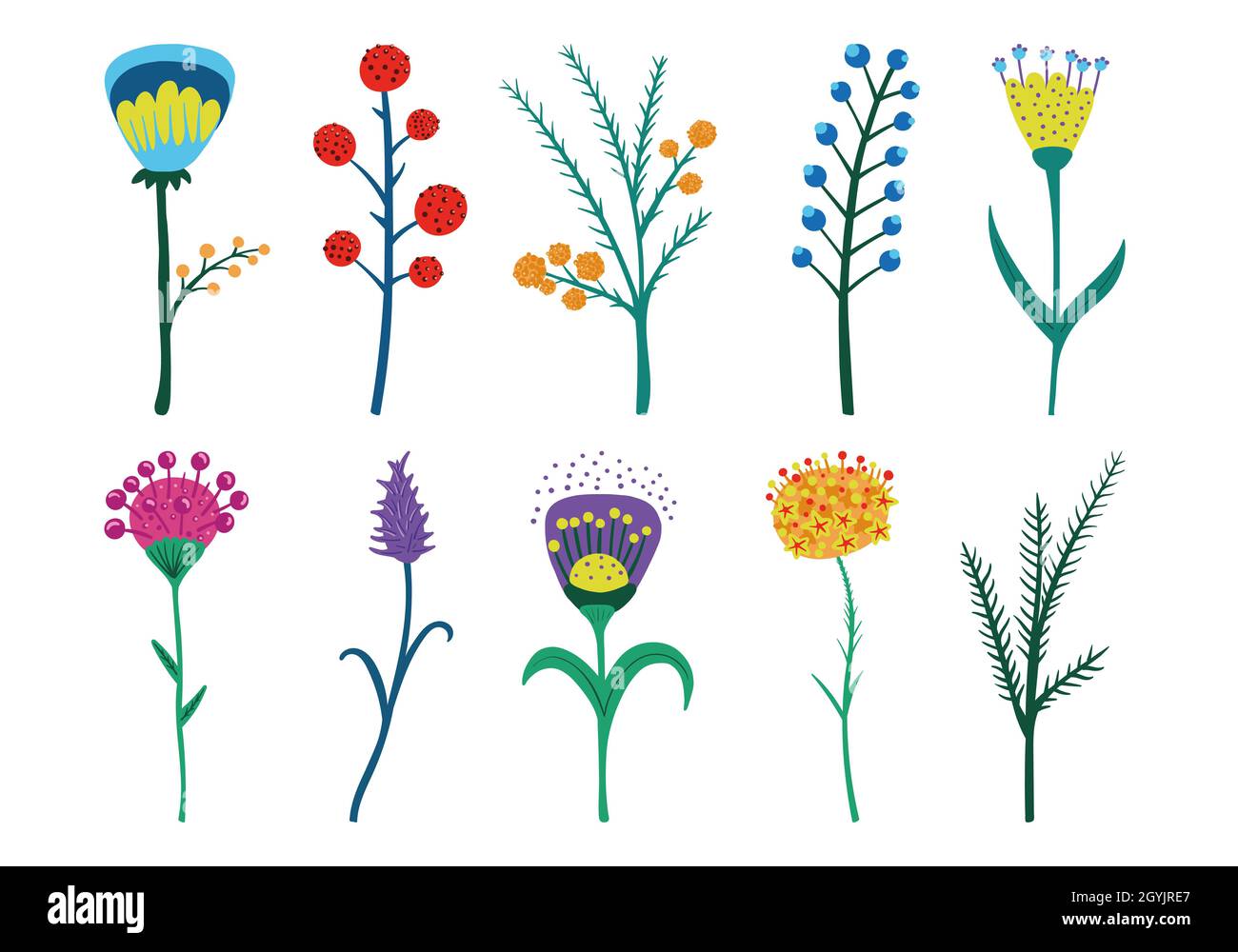 a set of vector fantasy, fairy-tale flowers and twigs for the design of ...