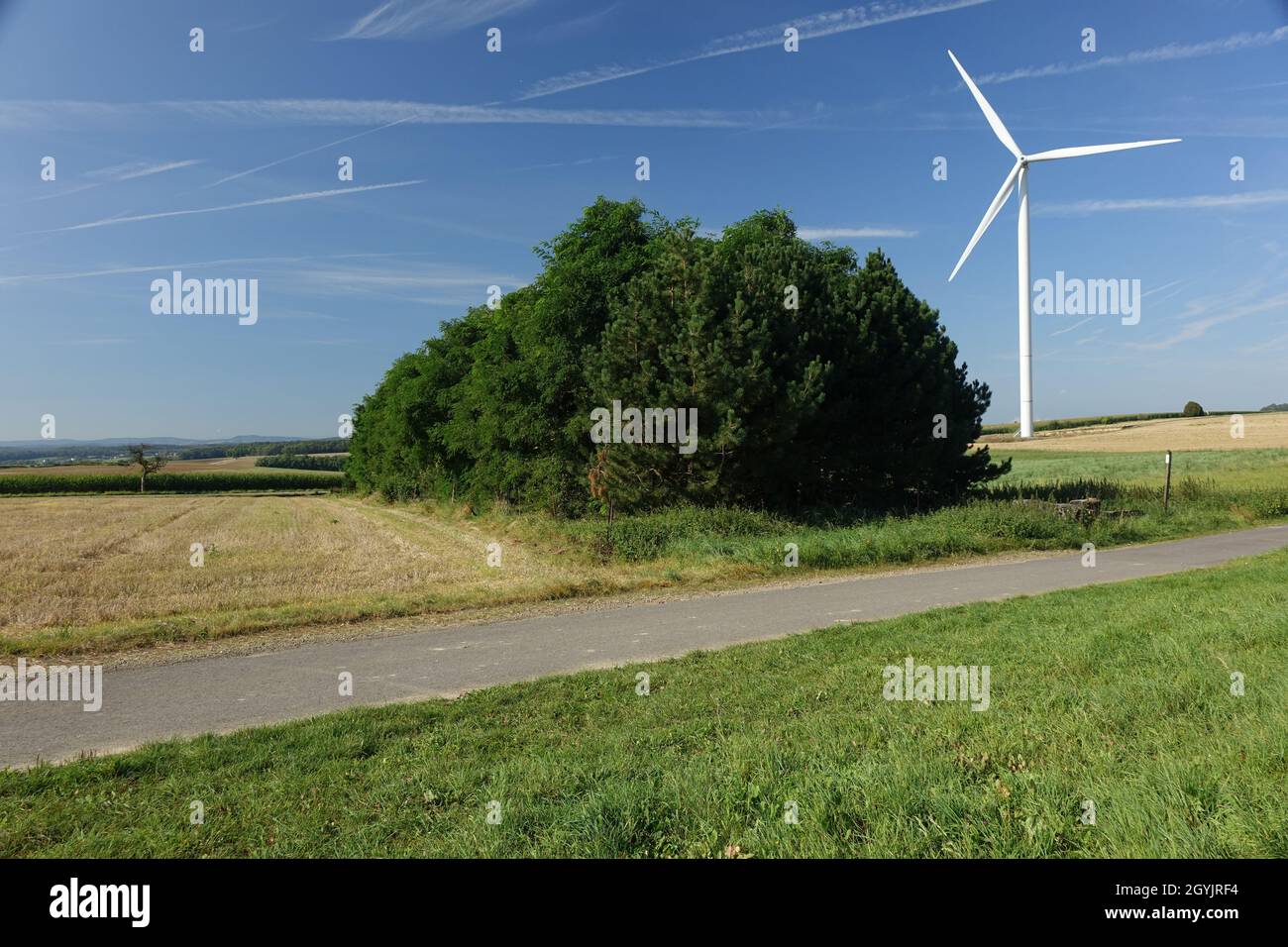 Road, fields, trees and wind power mill under a late summer blue sky at ...