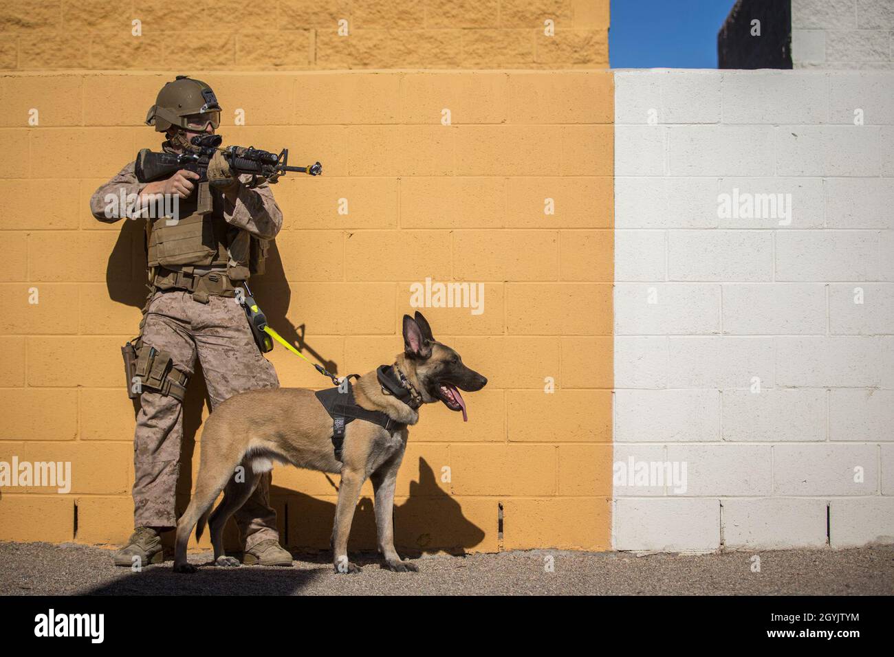 U.S. Marine Corps K-9 handlers currently assigned to the Military ...