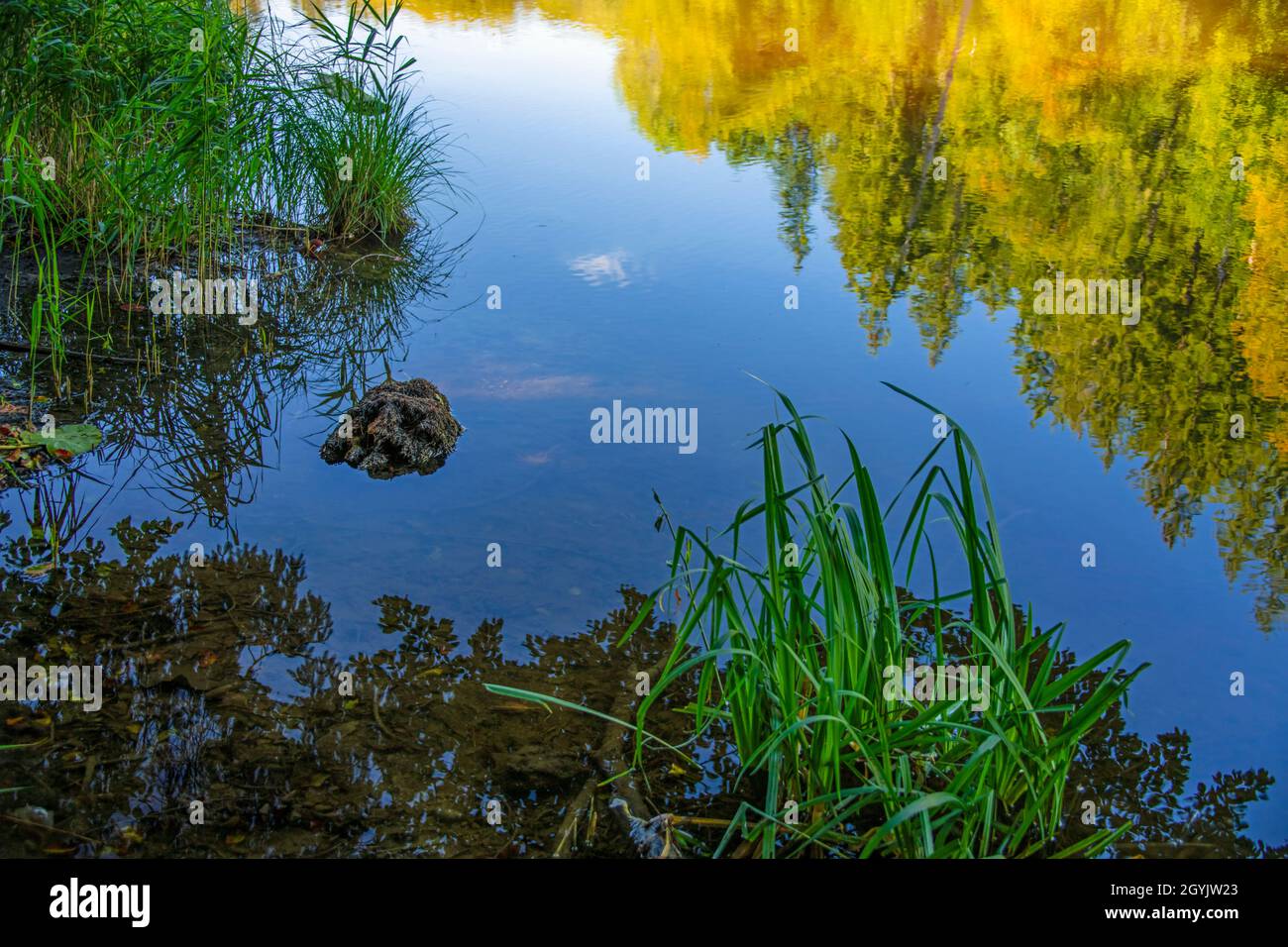 Colorful of a stone in the lake water and the reflections of the autumn ...
