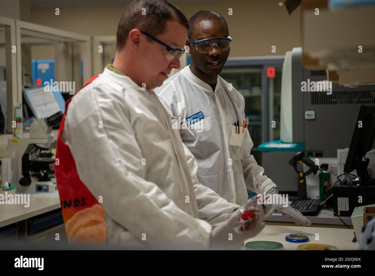 Afb bacteria hi-res stock photography and images - Alamy