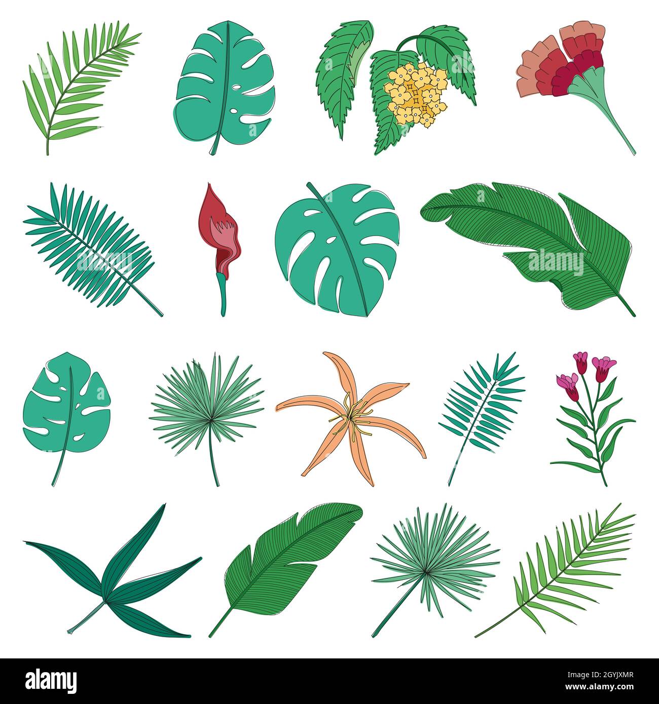 a set of colored vector tropical leaves isolated on a white background ...