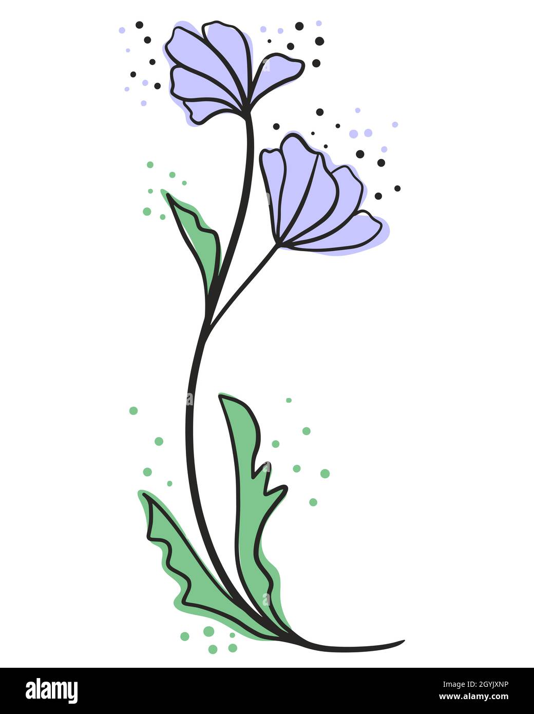 Graceful flower hand drawing vector illustration. Twig with flower buds ...