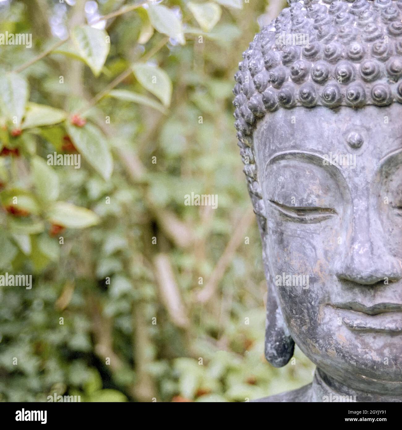 Square picture of face of calm Buddha statue at day with selective ...