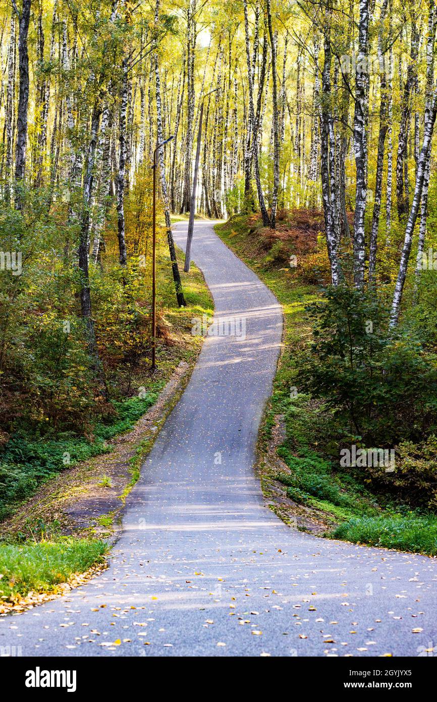Autumn landscape with road and beautiful colored trees Stock Photo - Alamy