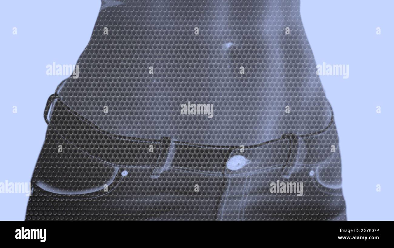 woman' belly,Fit woman,Fitness is essential for a healthy woman's belly ...