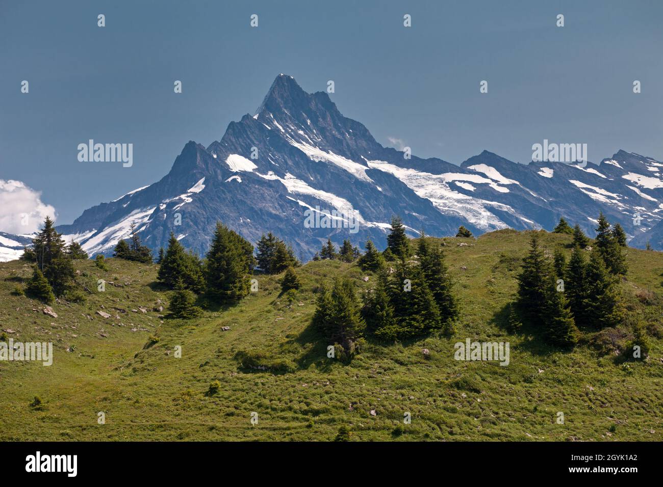 Schreckhorn mountains hi-res stock photography and images - Alamy