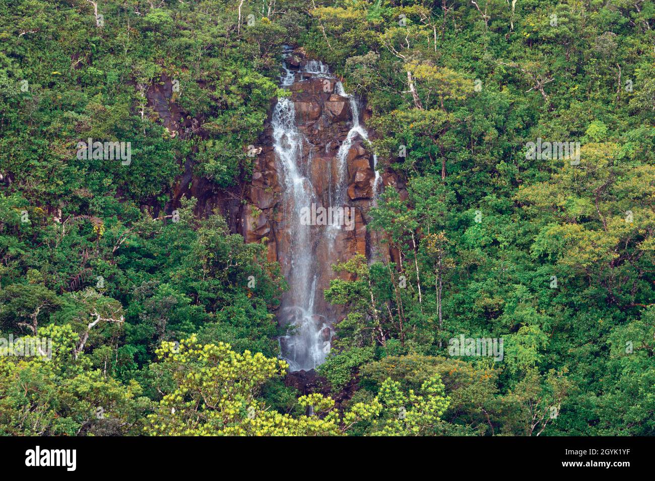 Alexandra Falls, in the Black River Gorges National Park, Mauritius ...