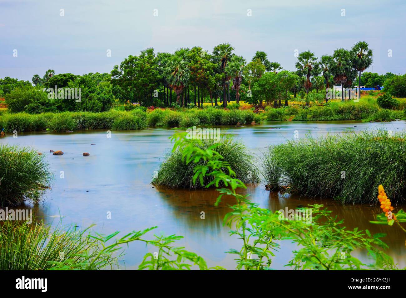 Thamiraparani river hi-res stock photography and images - Alamy