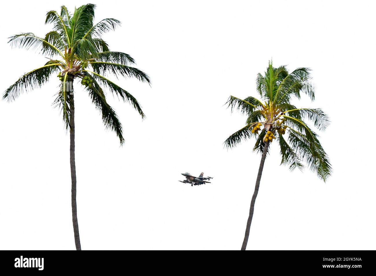 Joint order Cut Out Stock Images & Pictures - Alamy