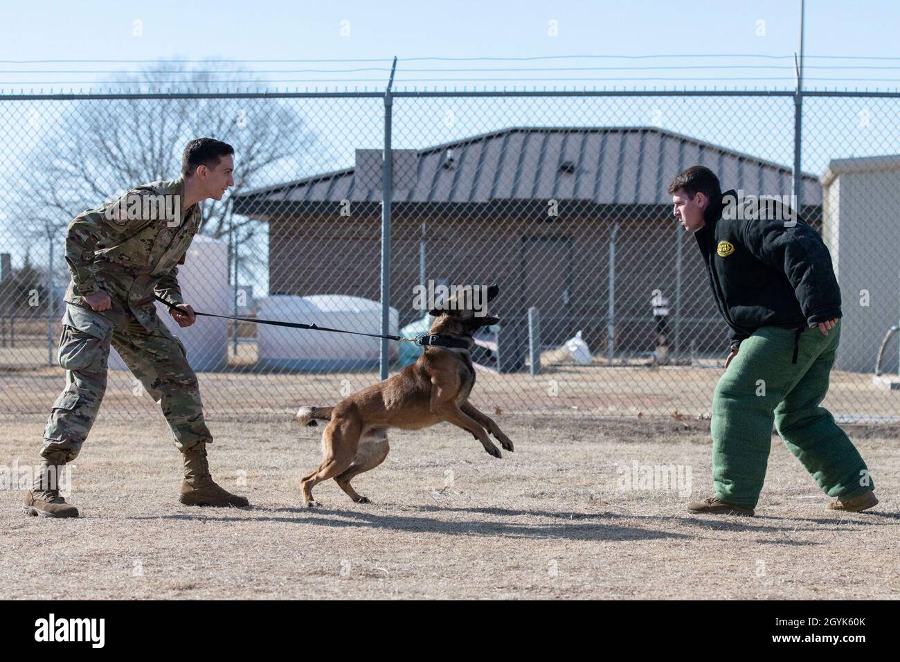 U.S. Air Force Senior Airman Nathaniel Humphreys, a Military Working ...